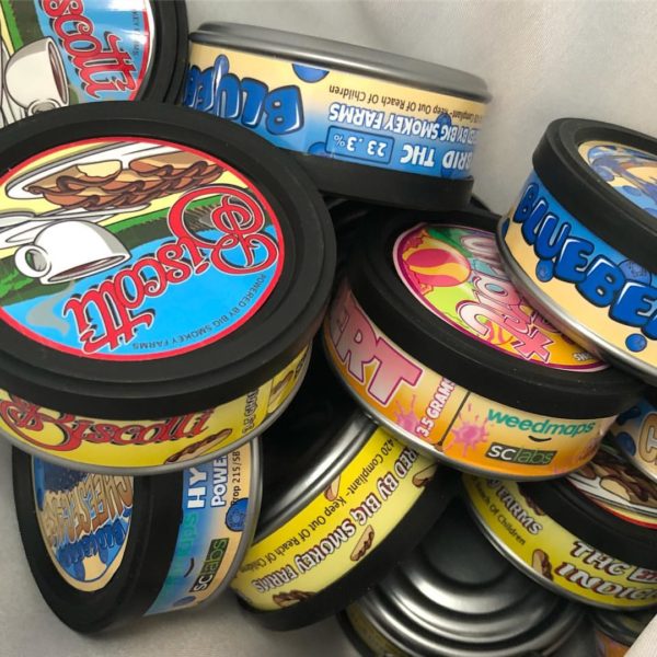 BISCOTTI | weed-fans.com