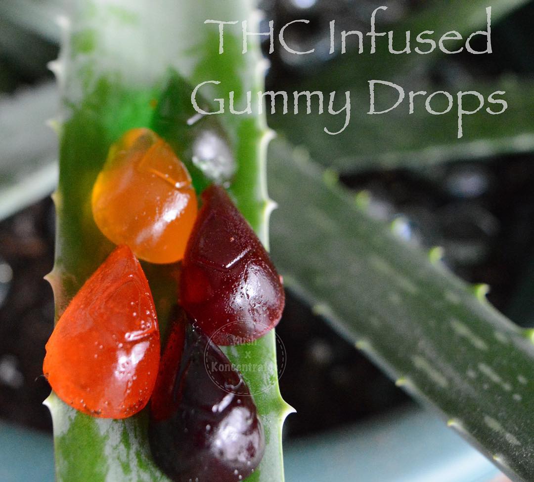 THC infused gummy drops | weed-fans.com